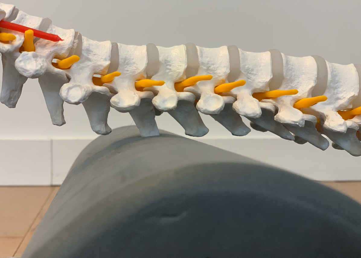 SpineGroove™ – High Performance Patented Foam Roller